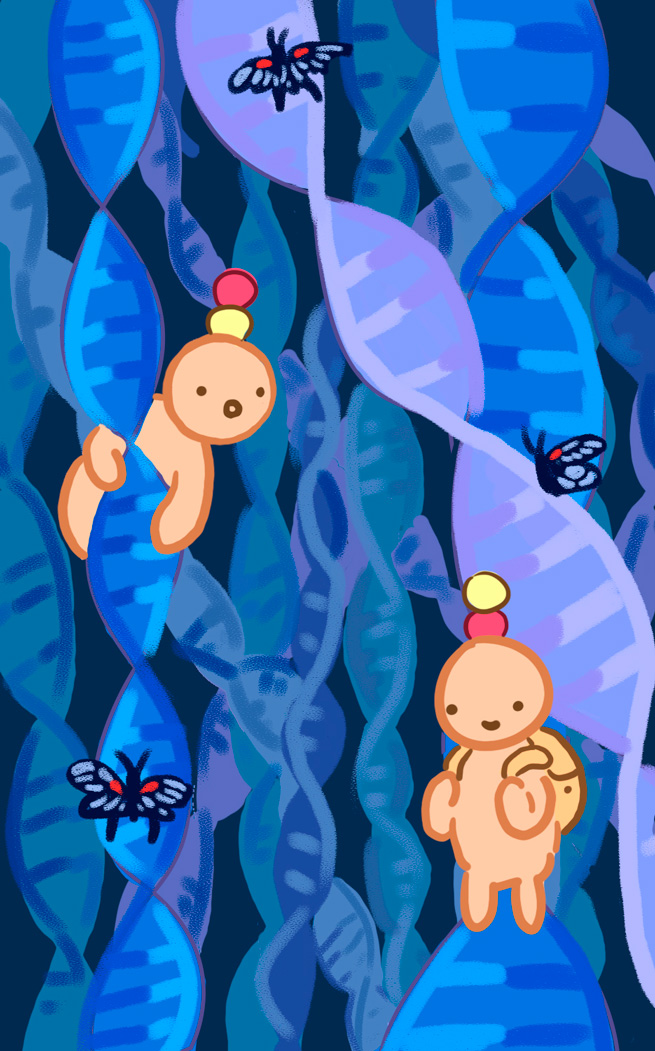 Supergenes - Principia